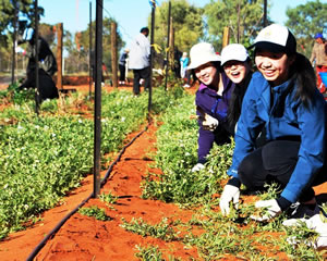 Watarrka Foundation